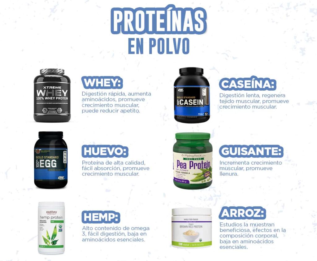 Lo que Necesitas Saber sobre los Suplementos de Proteínas